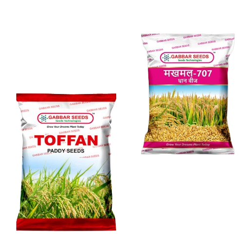 Gabbar Seeds